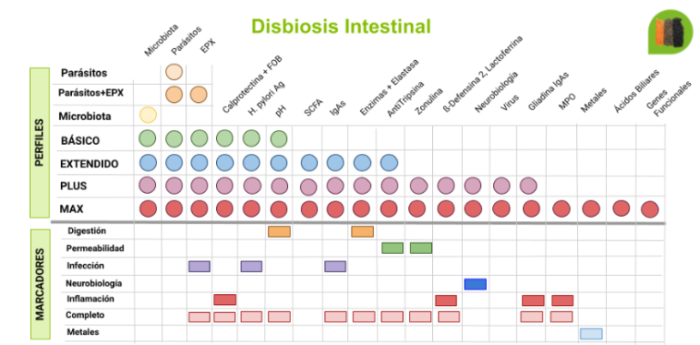 ¿Qué es el test del microbioma intestinal? – Gema Martorell